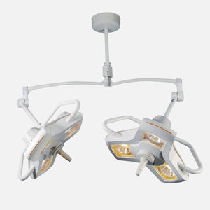 Light, AIM LED Double Ceiling Mount – Nikki Veterinary